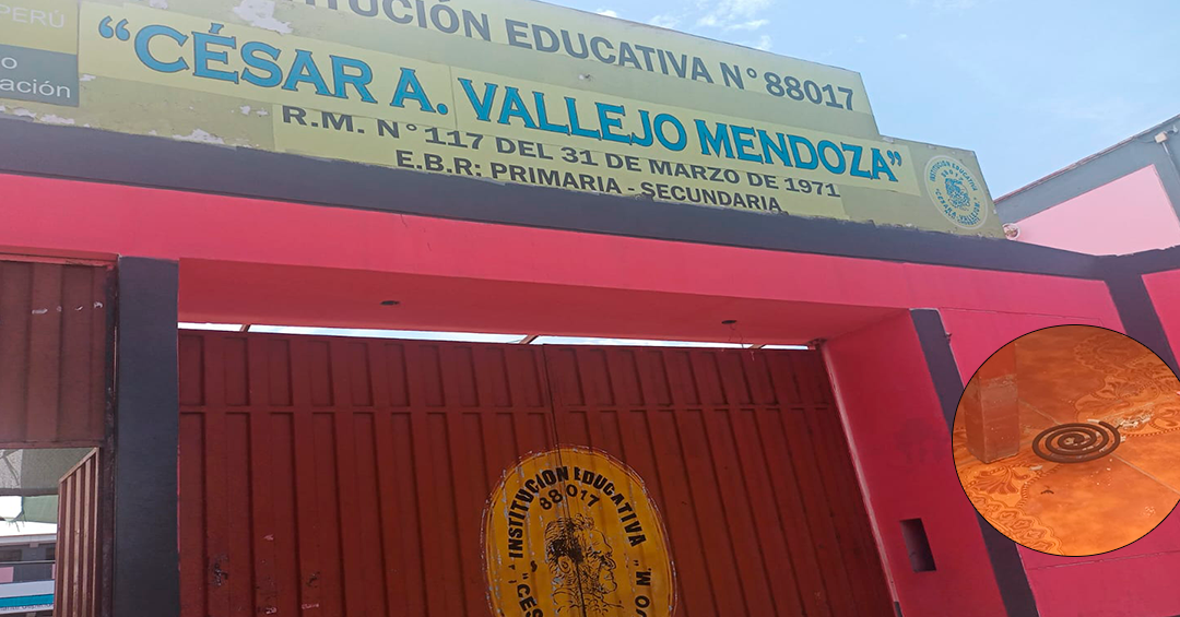 IEP "César Vallejo" - Tarma - Mejores Peru